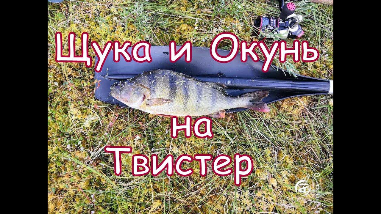 Рыбалка на диком озере в ХМАО 2019. Окунь, щука на спиннинг.