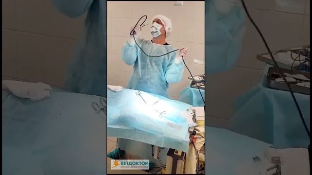 И до нас он добрался ! #шуфутинский  С 3 сентября, друзья! 😄