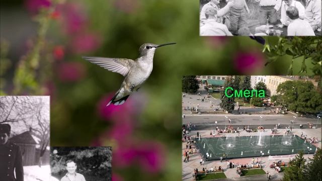Вячеслав Цереня - фильм «Мои года - моё богатство».mp4