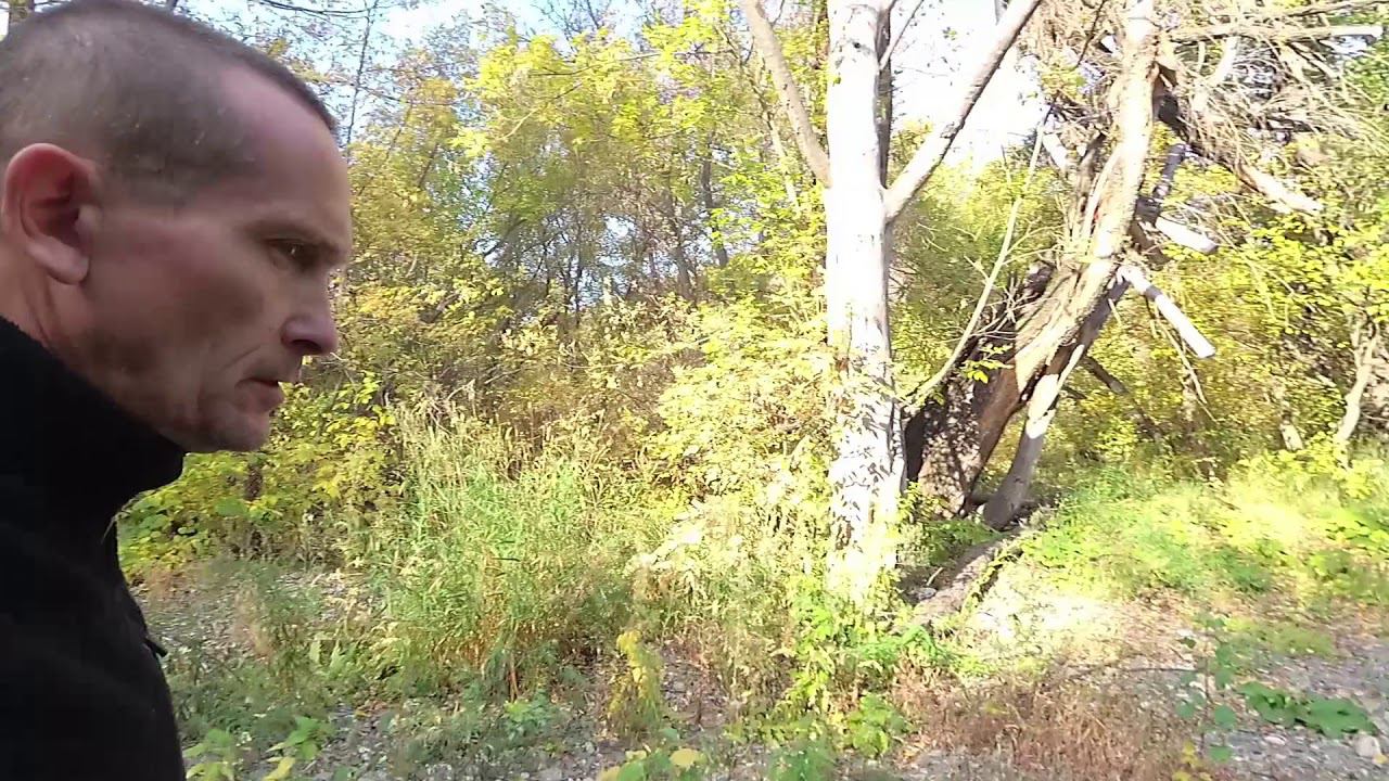 Одиночный поход на м. Каялу, всю ночь возле палатки ходил медведь, ломал сучья и не давал спать.