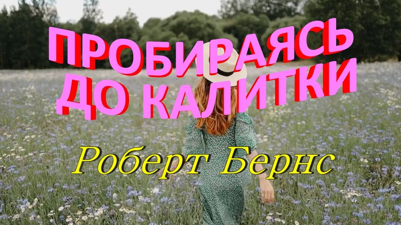 Стихотворение "Пробираясь до калитки" Роберт Бернс