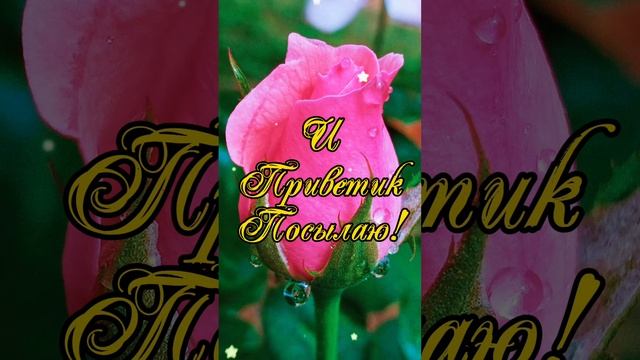 Доброго утречка желаю!