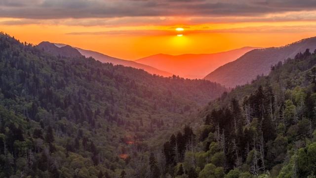 Josiah Barlow. Consolation