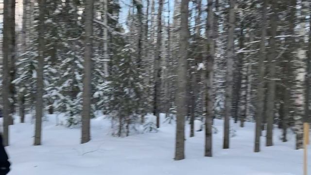 2022.03.31 Лыжи Ухта. Слушаем тишину. Падение с горки.MOV