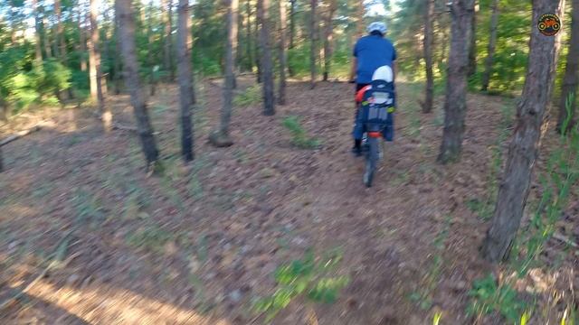 Велопрогулка с детьми