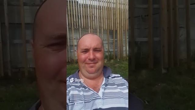 DENIS PENIN  #GimmeShelter #therollingstones