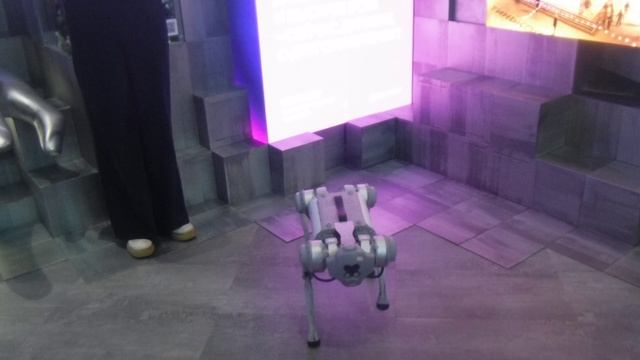 Робот на выставке