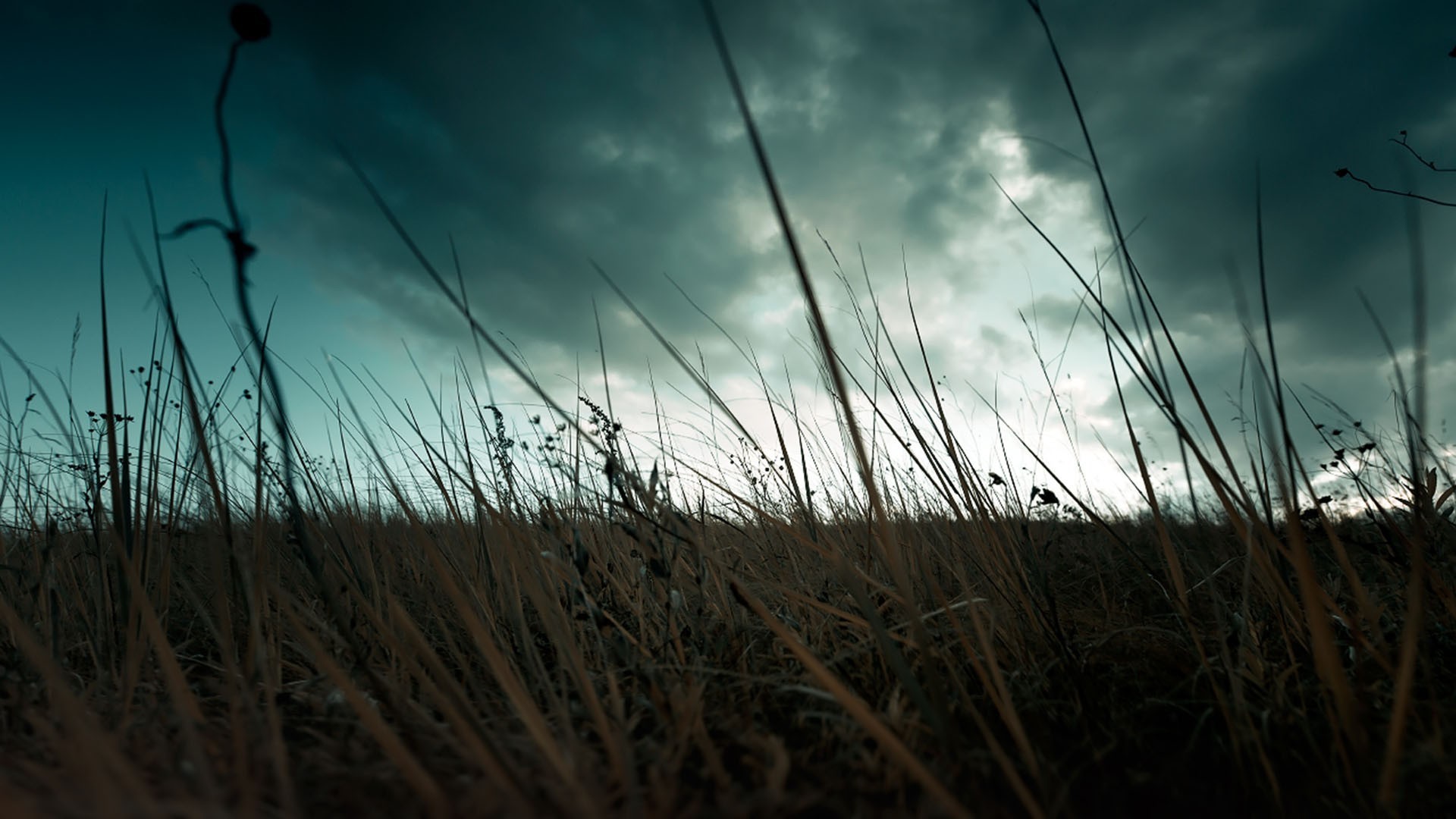 "Евпатий Коловрат", Русские эпические сцены, Пролог, "Русь земная и небесная" (фрагмент)