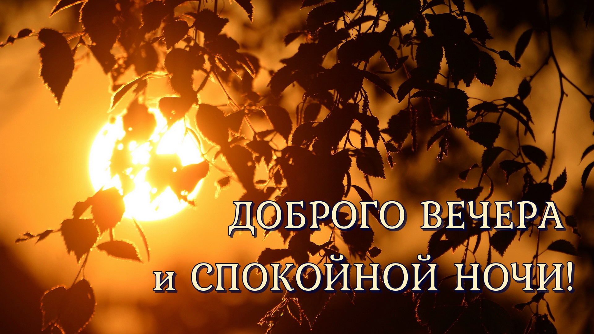 ДОБРОГО ВЕЧЕРА и СПОКОЙНОЙ НОЧИ!