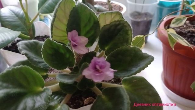 КАК ЭКОНОМИТЬ или как выплатить ипотеку