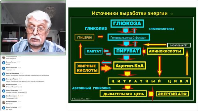 Потребность энергии в спорте