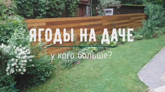 Ягоды на даче: у кого-то больше? Набор «Экзотика»