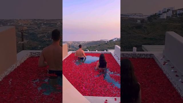 Жизнь - это накопление горечи и радости