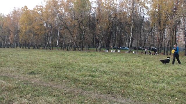 Ф.Фристайл  Вика и Веник.mp4