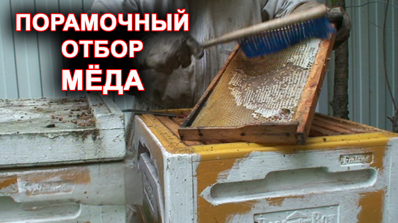 Отбор мёда порамочно.