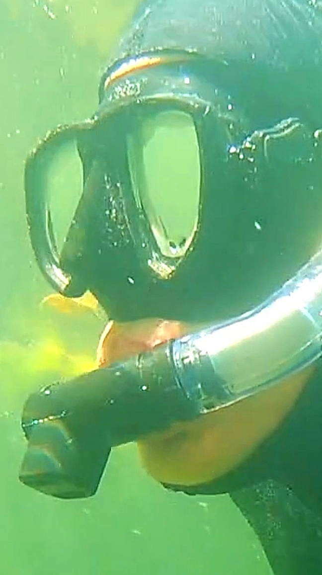 Подводная охота