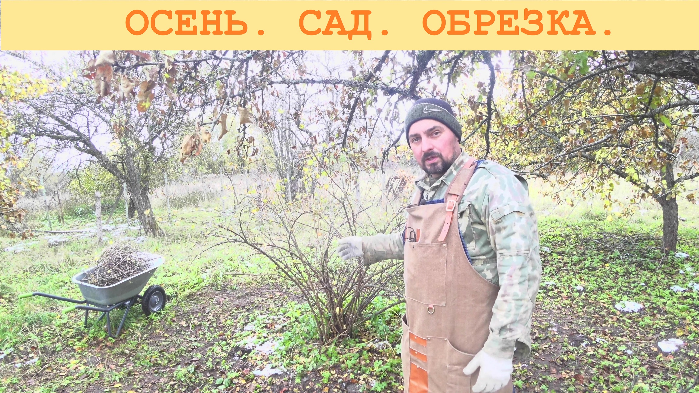 2023 Октябрь. Сад в снегу. Значит, пора делать обрезку