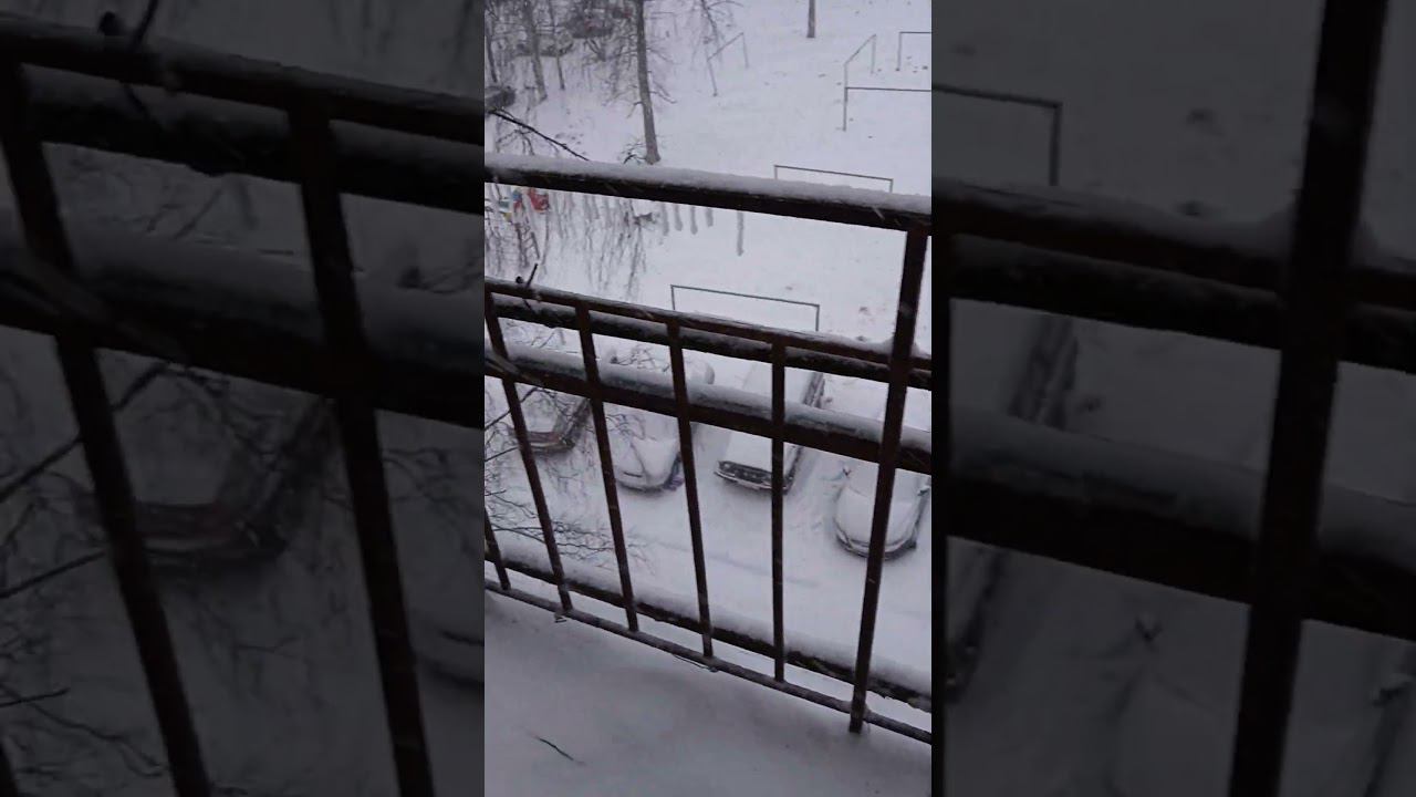 10 мая 2024 г. Архангельск, Новодвинск