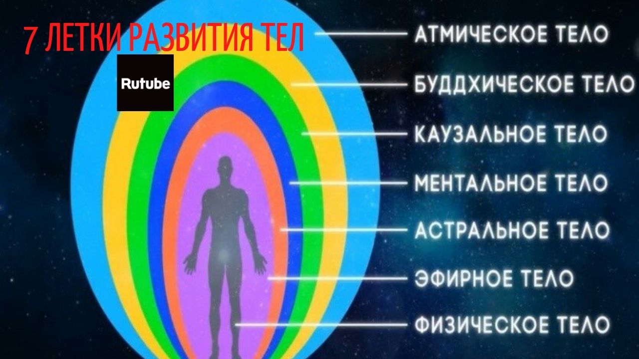 7 летки развития тел.