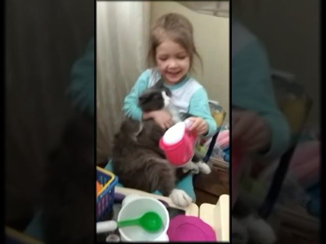 Дарина кормит кота. Home video.