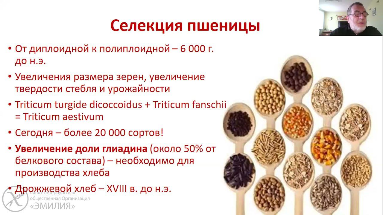 Частота целиакии в РФ и в мире. Хавкин Анатолий Ильич