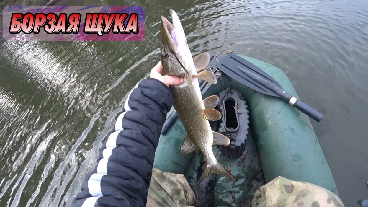 ОСЕННЯЯ БОРЗАЯ ЩУКА! ЖОР ЩУКИ! САМОЕ ЛУЧШЕЕ ВЫВАЖИВАНИЕ РЫБЫ! БОРЬБА С ТРОФЕЕМ!