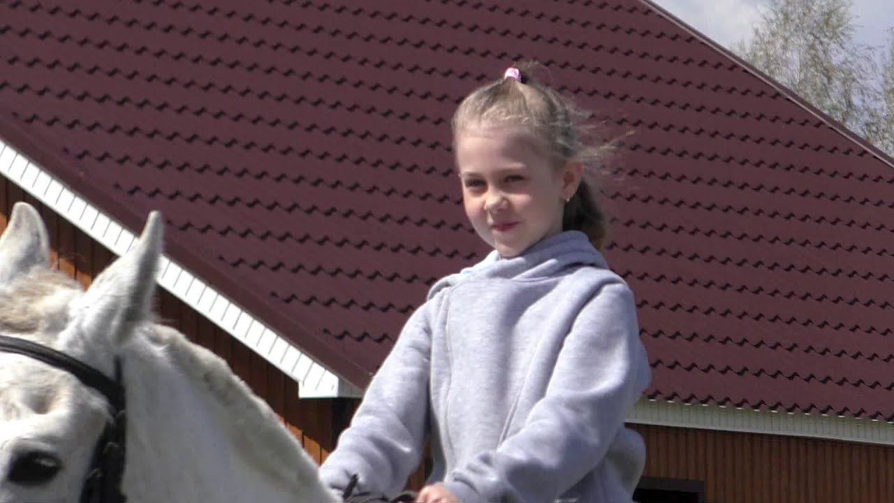 Лошади фильм 14