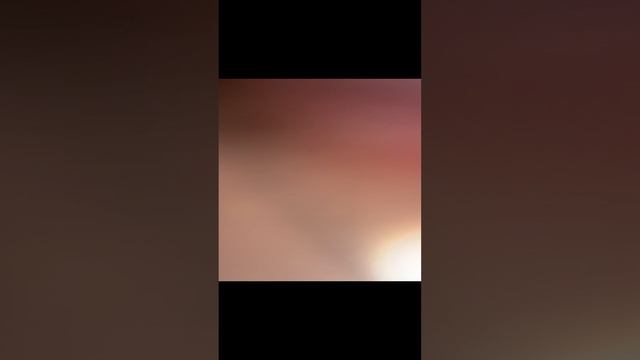 Ещё кошка марта