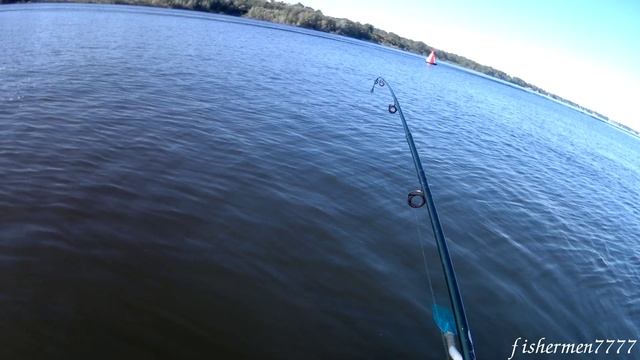 Летняя ловля на джиг и отводной поводок