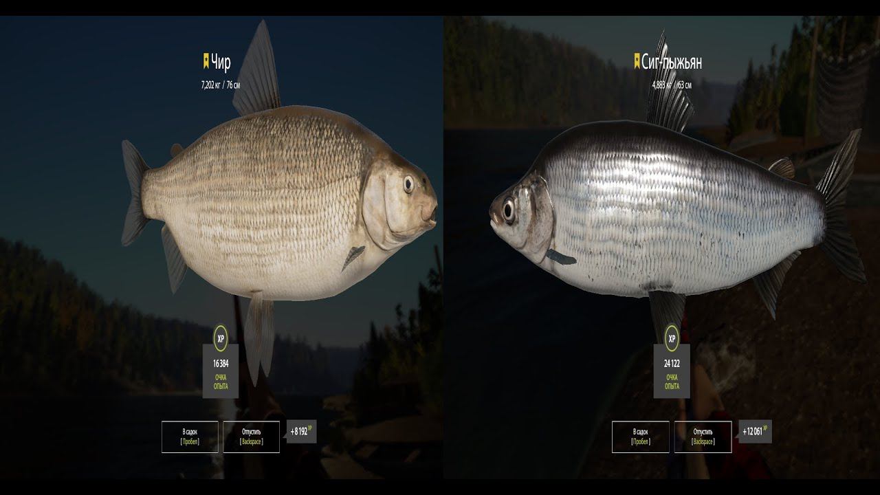 Russian Fishing 4