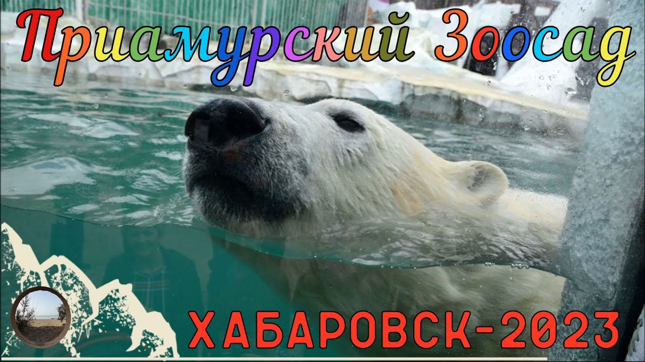 Как мы съездили в зоосад в Хабаровске))