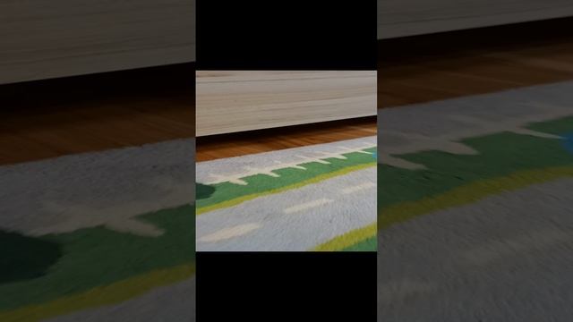 Вот почему надо знать правила дорожного движения