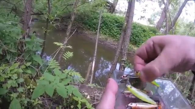 Микроречка, воблер и микроколебалка.mp4
