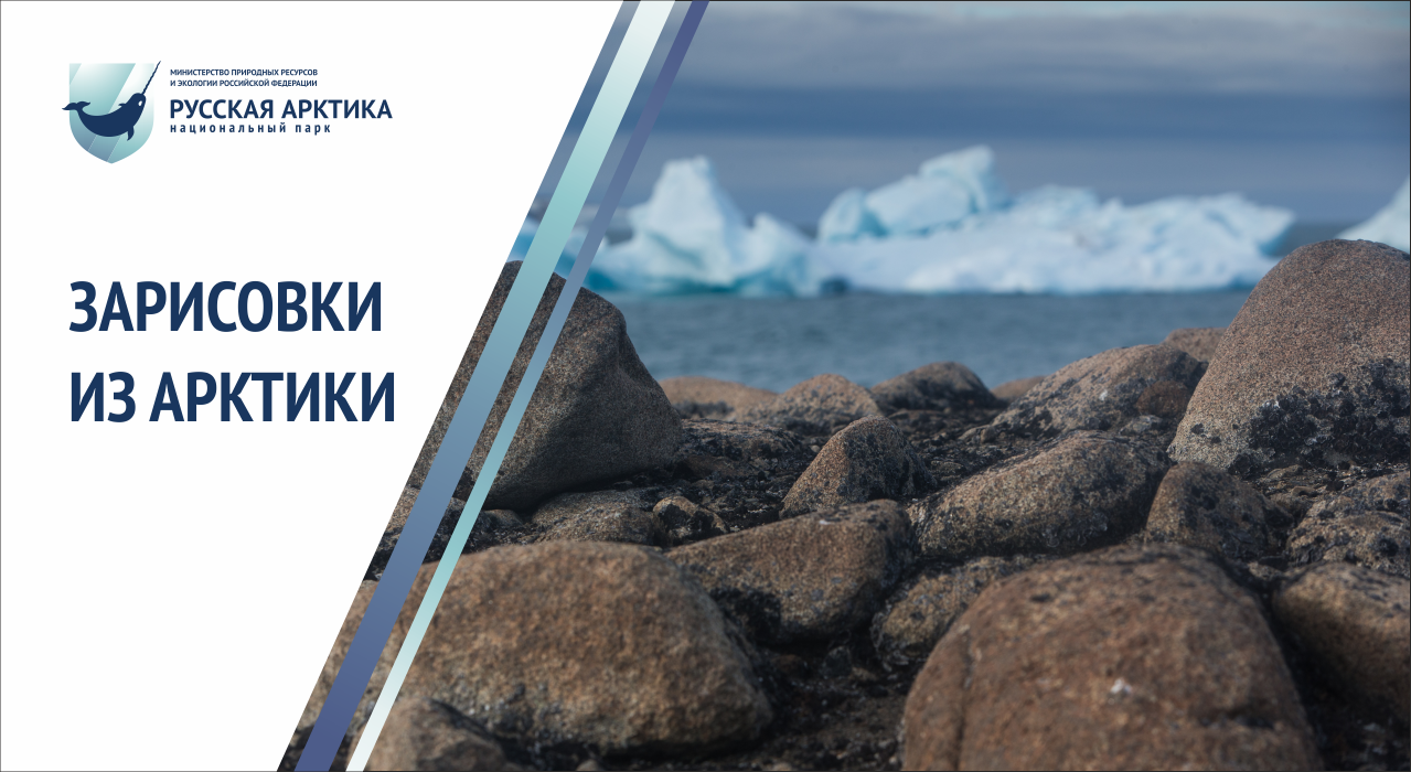 "Война и мир. Читаем роман" - III.mp4