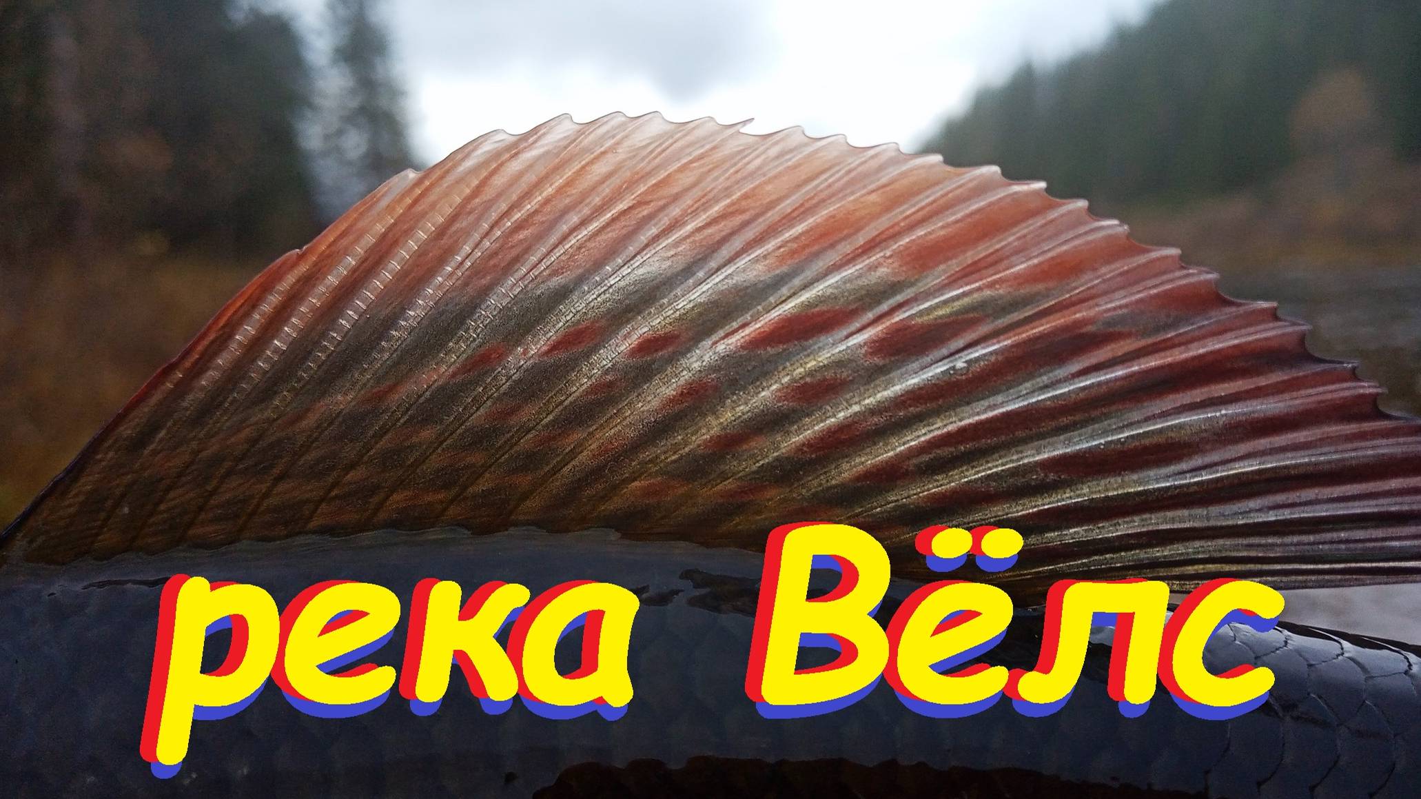 Уральская река Вёлс