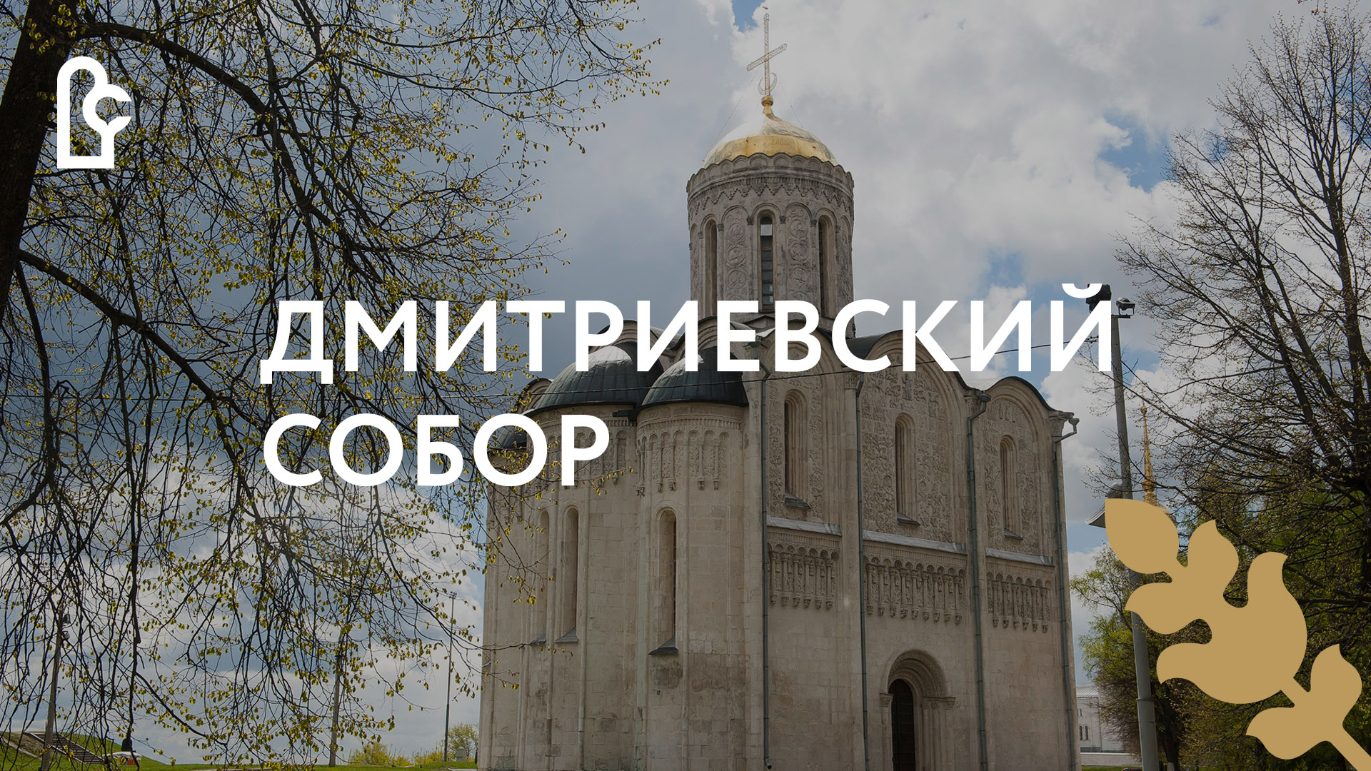 Дмитриевский собор. Лето