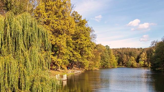 "МЕЛОДИЯ ПРОСТРАНСТВА."..  (Фото Игоря Егорова (Москва), музыка Александра Викторов - Аэросса)