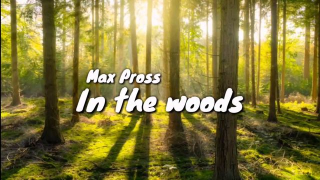 Музыка без авторских прав — Max Pross - In the woods