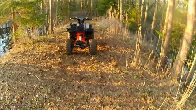 24 апреля 2024