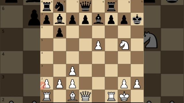 Шикарная ловушка.