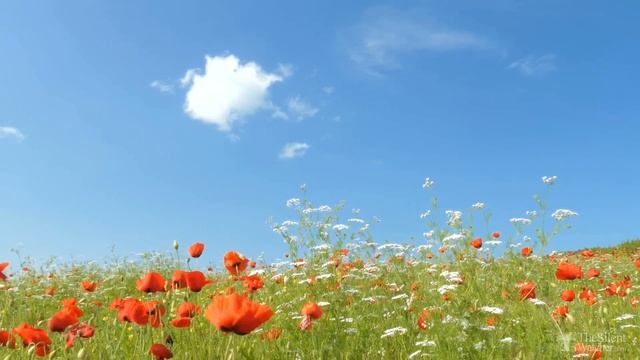 Я погрузился в мир иной (вариант 2).