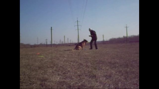 Фризби Вебстайл 2015  Ольга и Дег.mp4