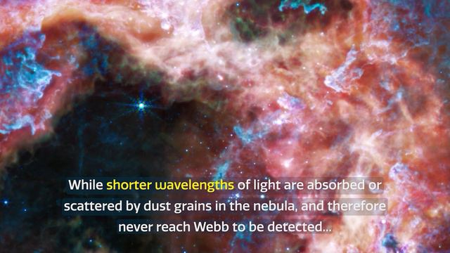 Космоискры Уэбба. Эпизод 5. Уэбб и космический Тарантул