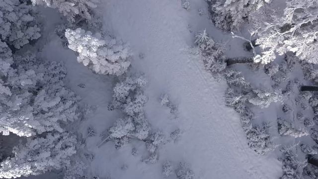 'Volkslied' 'Творческое содружество Листая небо'  'Игорь Фёдоров'  'Жизнь в её глазах'
