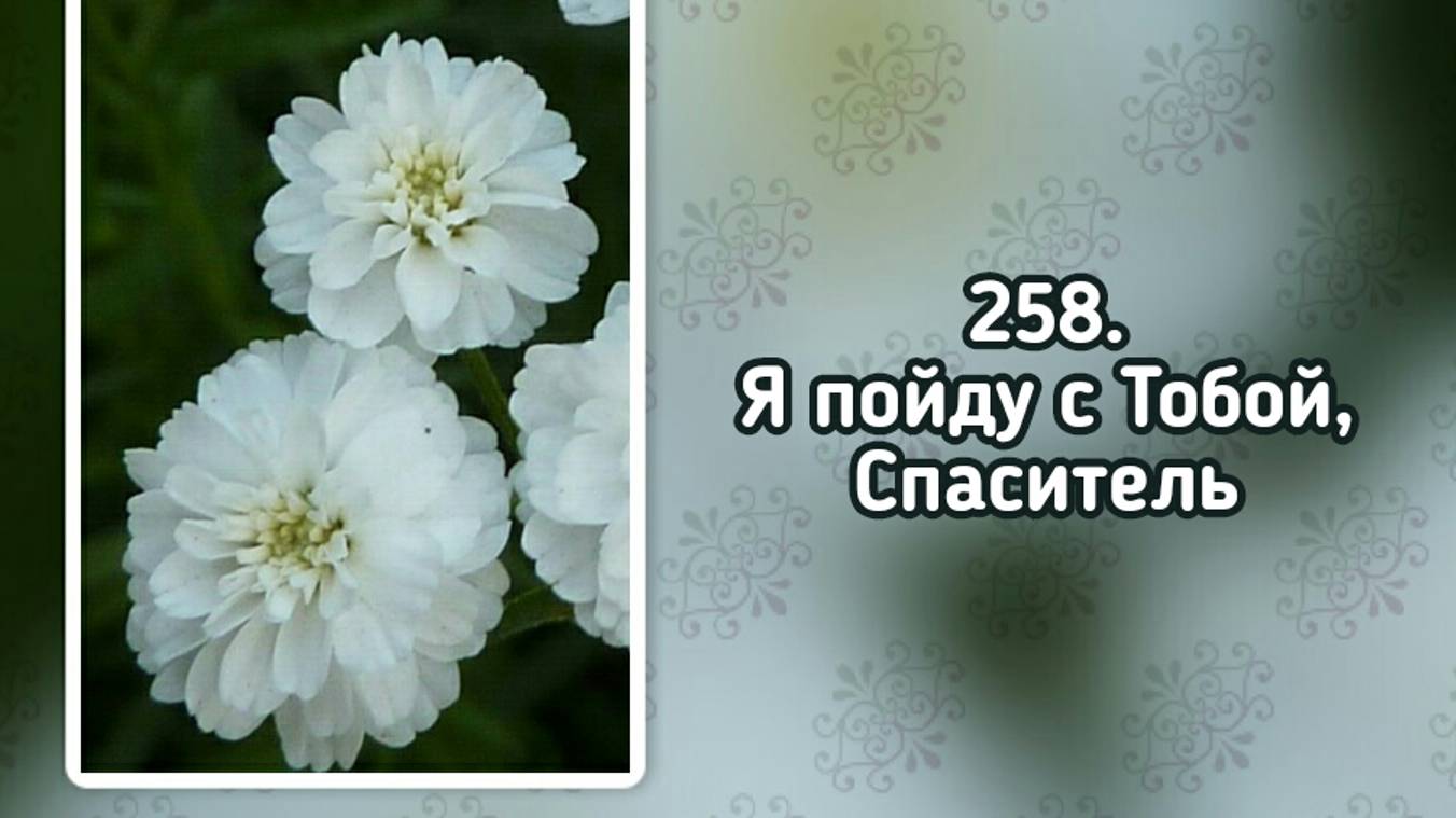Гимны надежды 258 Я пойду с Тобой, Спаситель (-)