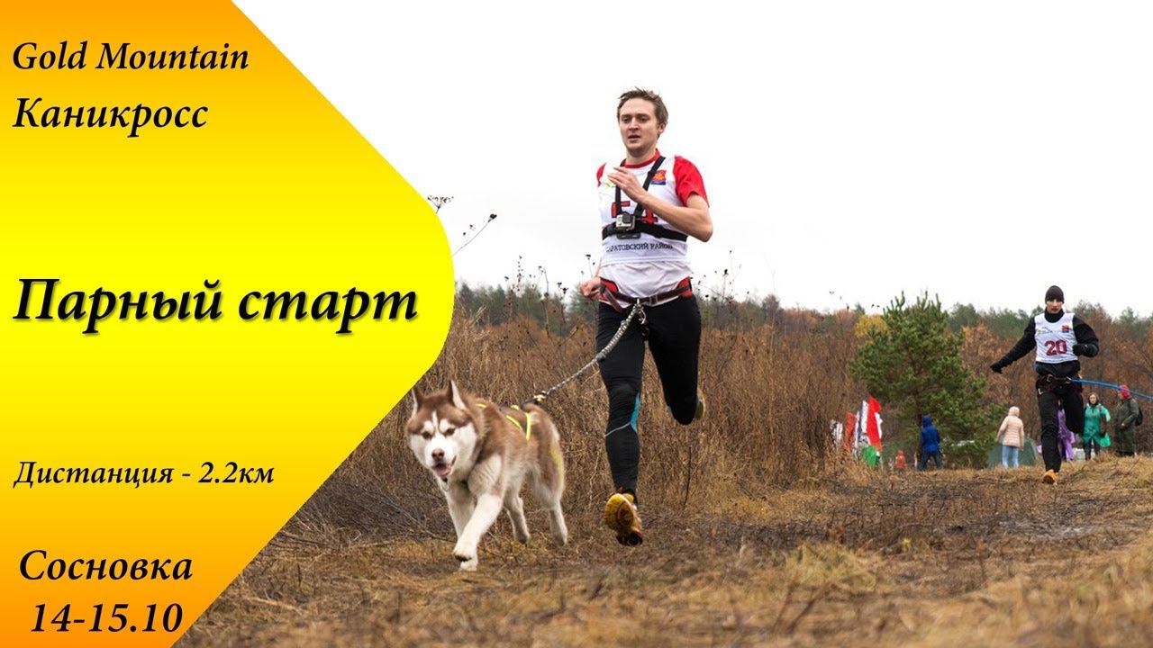 Драйленд Gold Mountain каникросс день 1 Инфинити