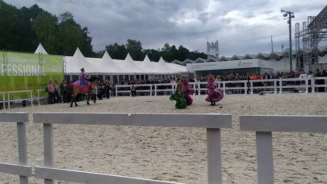 Выступление на вятских жеребцах