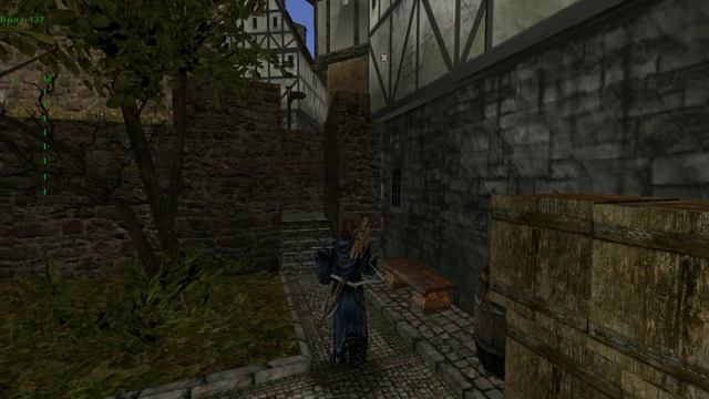 Gothic2 Legend of Ahssun(Легенда Ахссуна)Часть71ДолинаТроллей.КоролевскийТролль,вши.Кость мракориса.