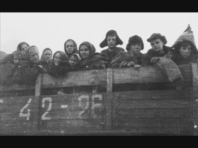 Школьные годы 1953 - 1964