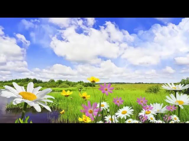 Что такого ценного и полезного есть в еде и что нам не хватает?